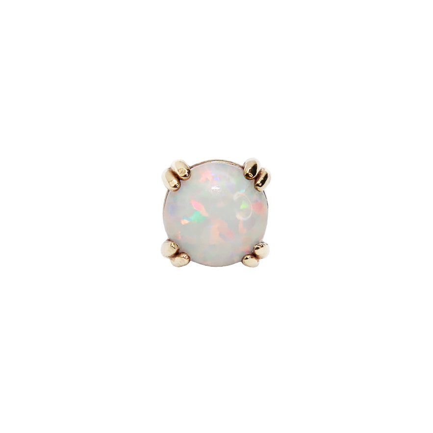Ahimsa Piercing Studio & BVLA Fine Jewelry in Brooklyn, NYC