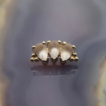 Ahimsa Piercing Studio & BVLA Fine Jewelry in Brooklyn, NYC